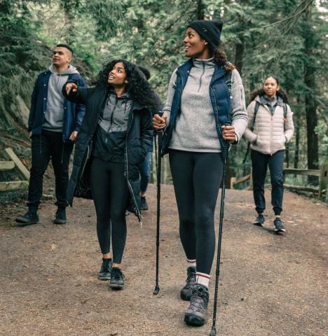 Embark | Financial Avenues, LLC.